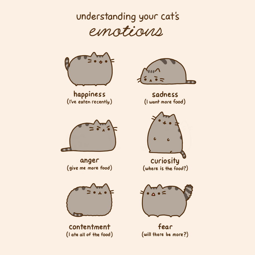 Understanding Your Cat's Emotion – Pusheen Shop