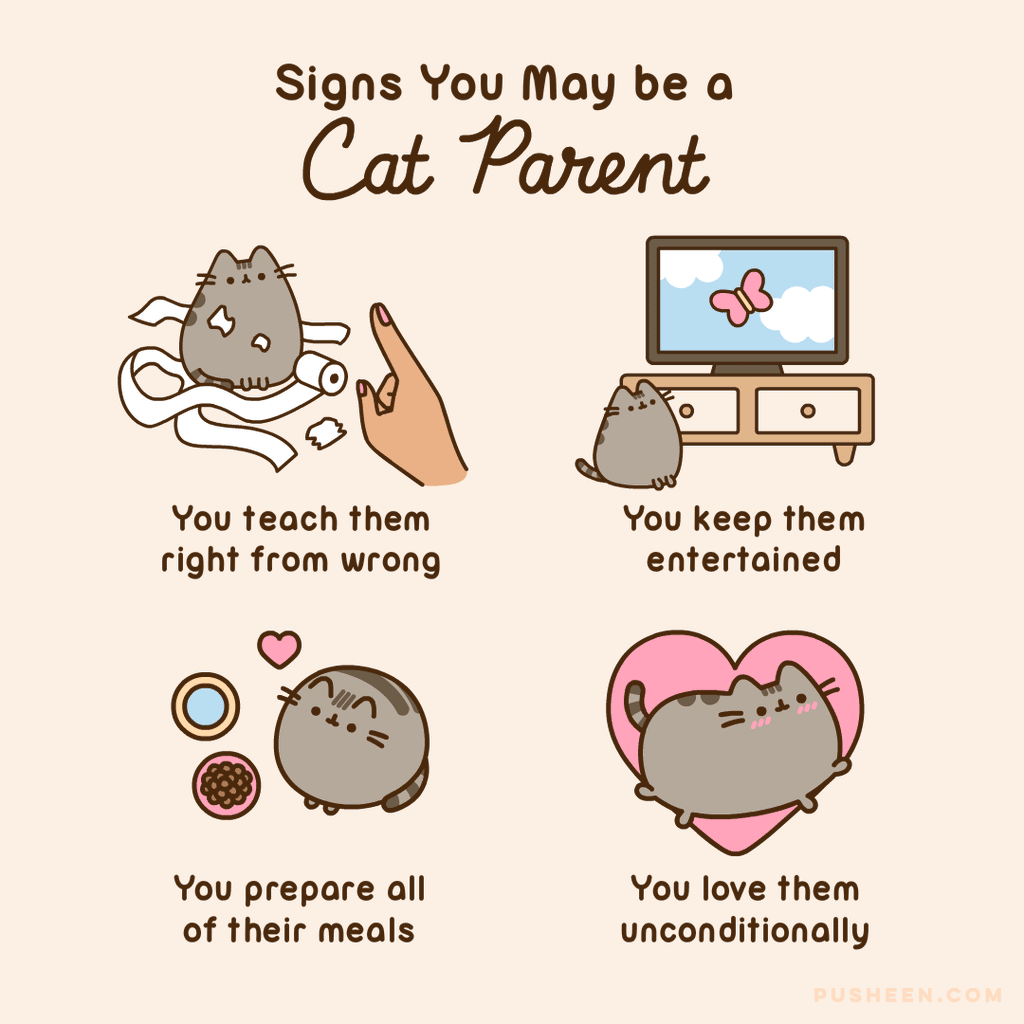 Signs You May Be a Cat Parent – Pusheen Shop